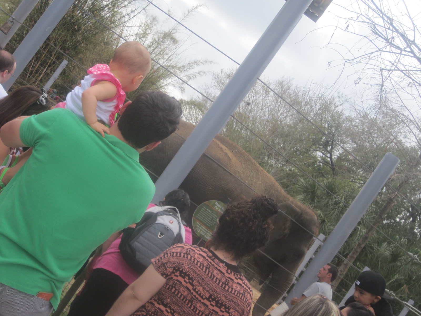 Bass Family Blog: We're going to the zoo, zoo, zoo...how about you, you ...