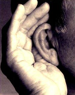 Telinga Manusia, Bagian dan Fungsinya | Medkes