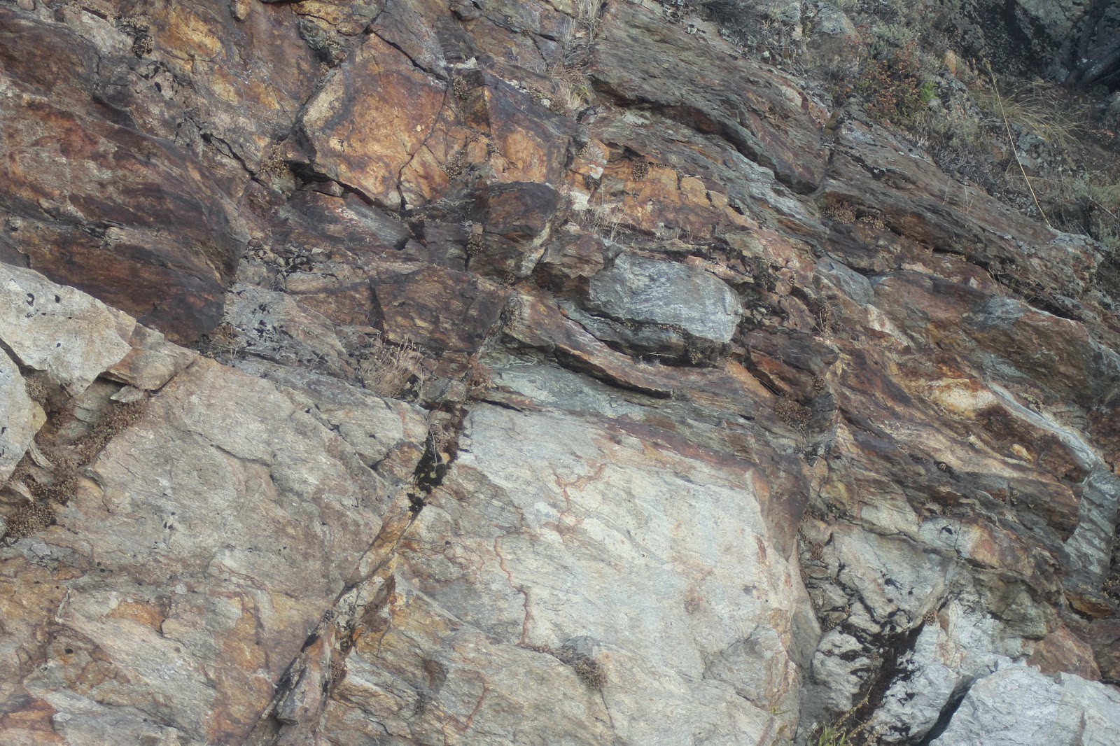 Cáceres al natural: MIGMATITAS EN LA DESESPERADA (PIORNAL)