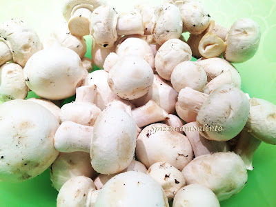 Spizzica in Salento...: Canneroni Rigati al Forno con Champignon