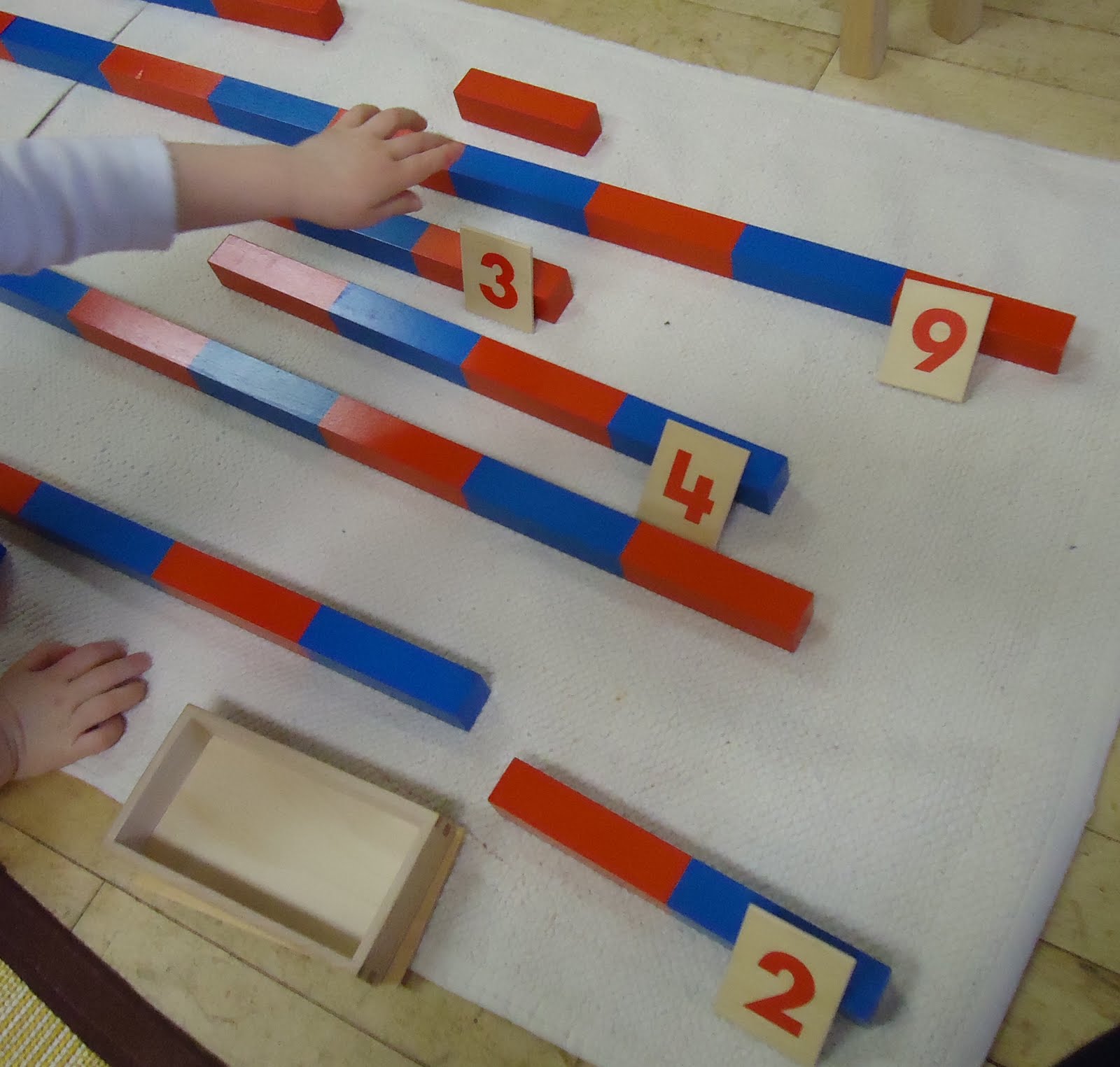 To the Lesson!: This Week's Activities