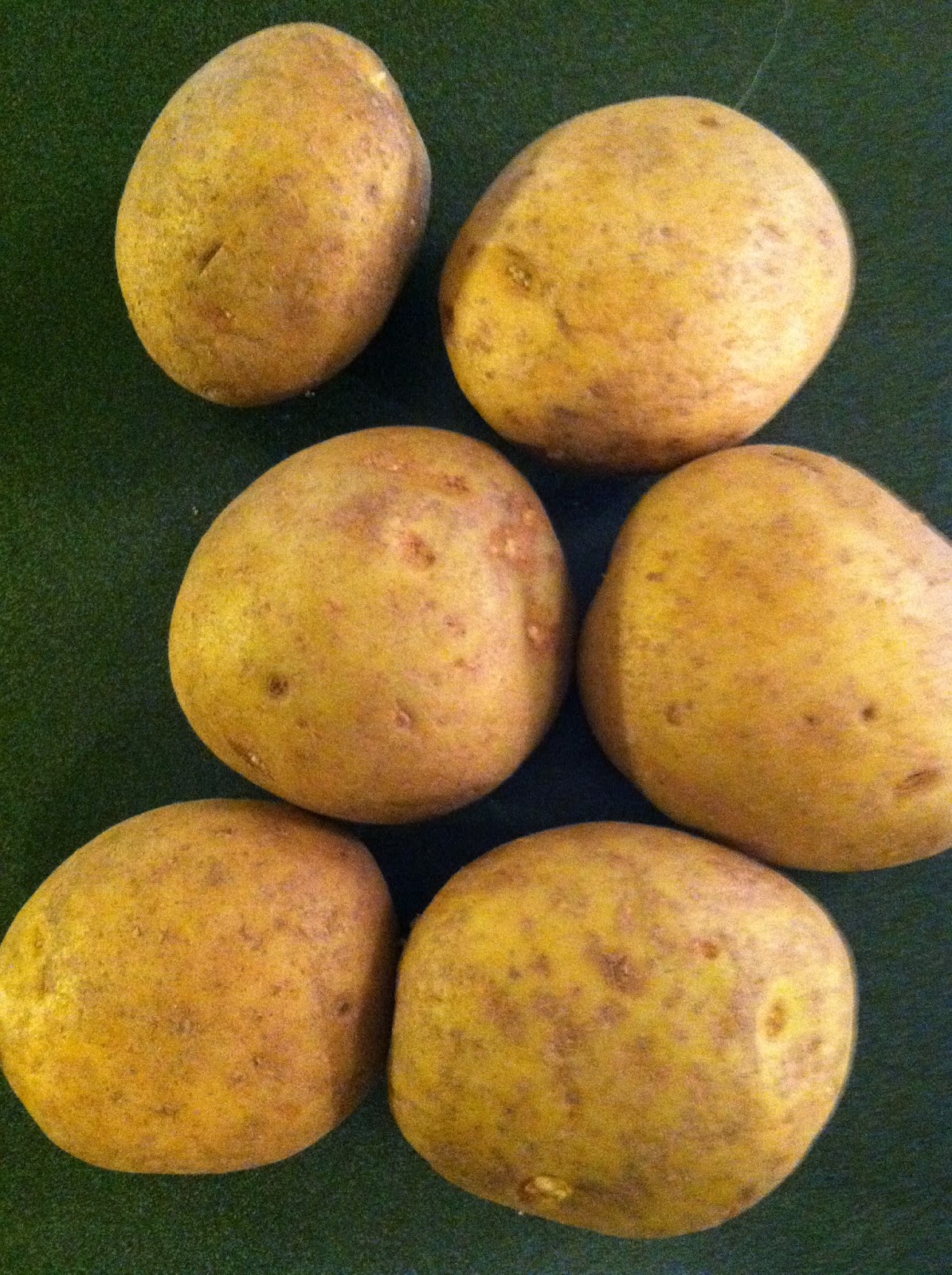 Susan's Coffee Chronicles