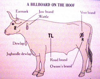 Born to Fly: Branding the West