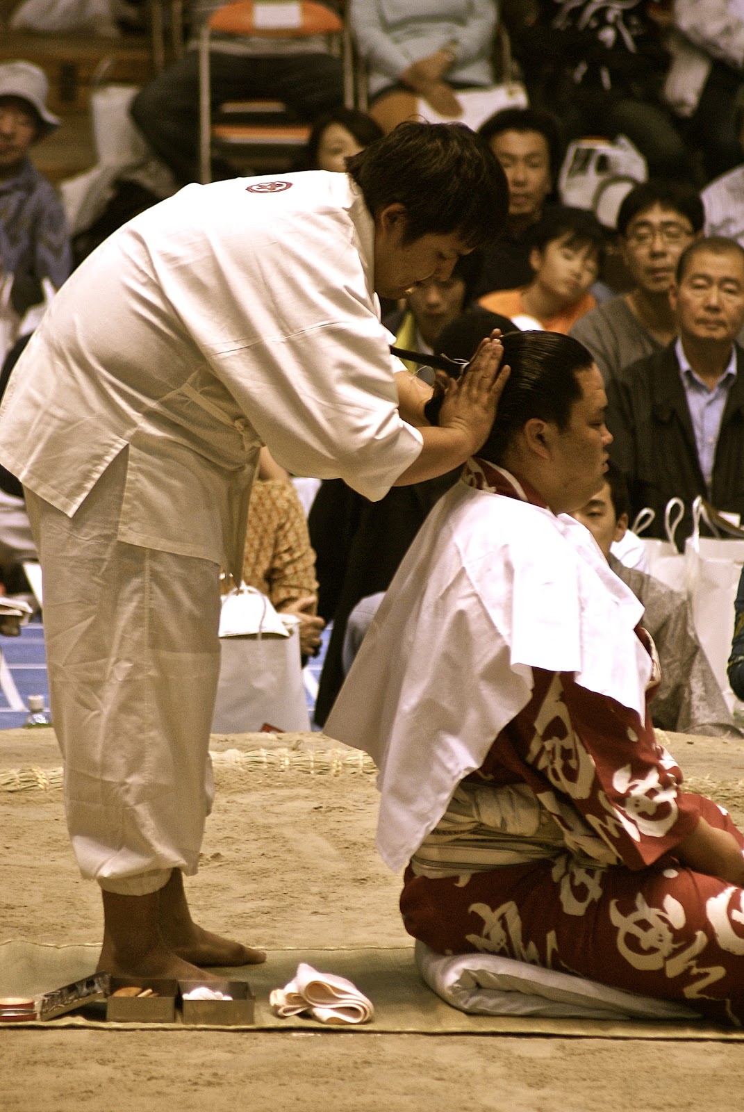 the tofu fox: Today's Photo (Hair, Sumo-Style)