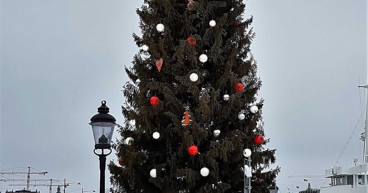 Tidlösa: Julgransplundring