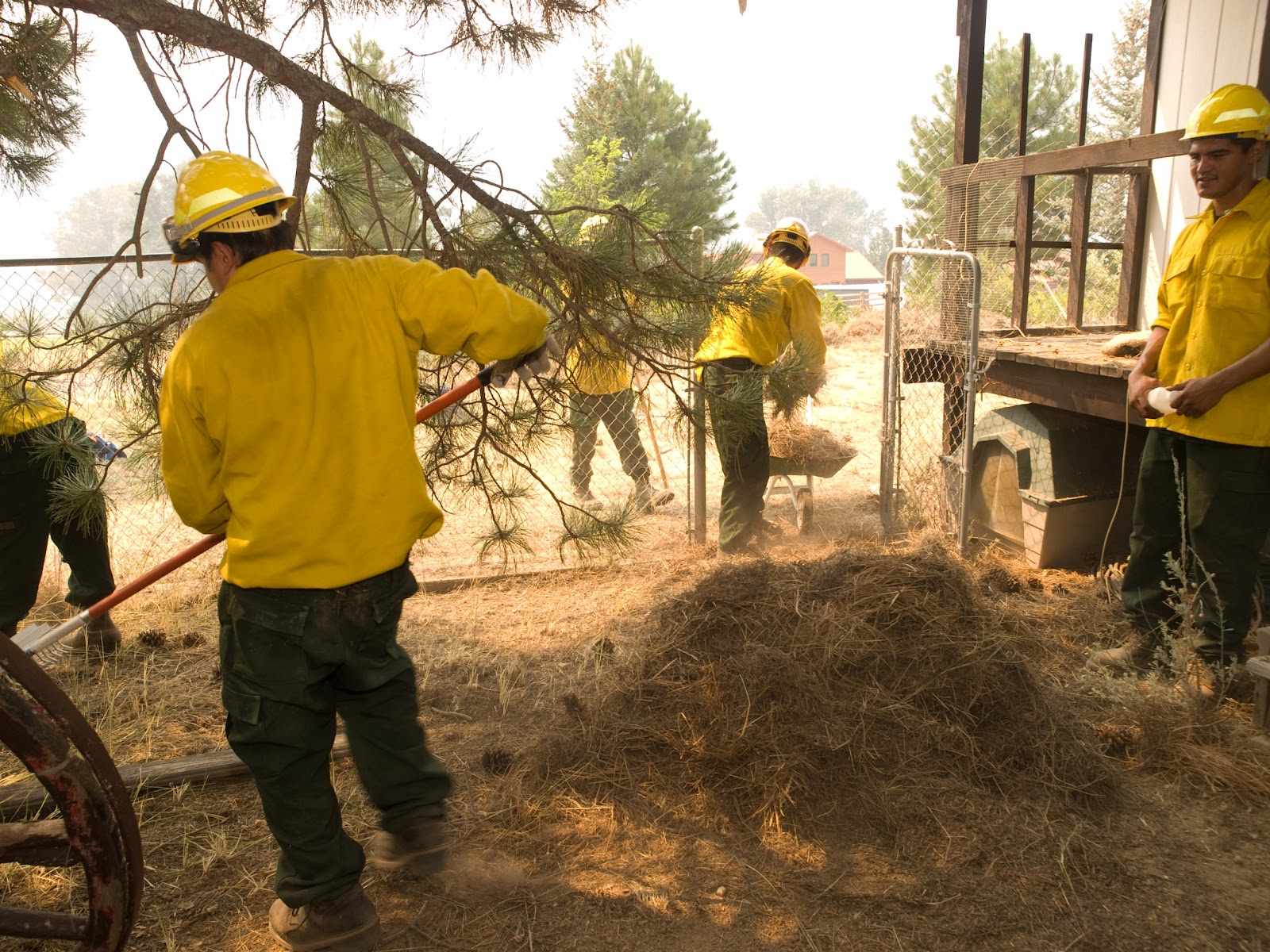 Virginia Wildfire Information and Prevention: Idaho, California, Hawaii ...