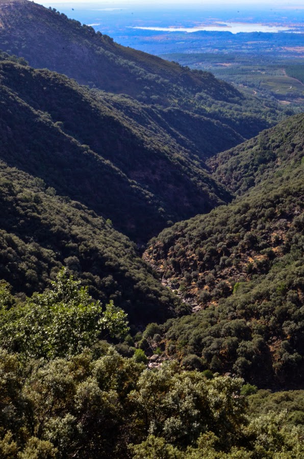 ALMANAQUE NATURAL: Los Encinares de Gredos