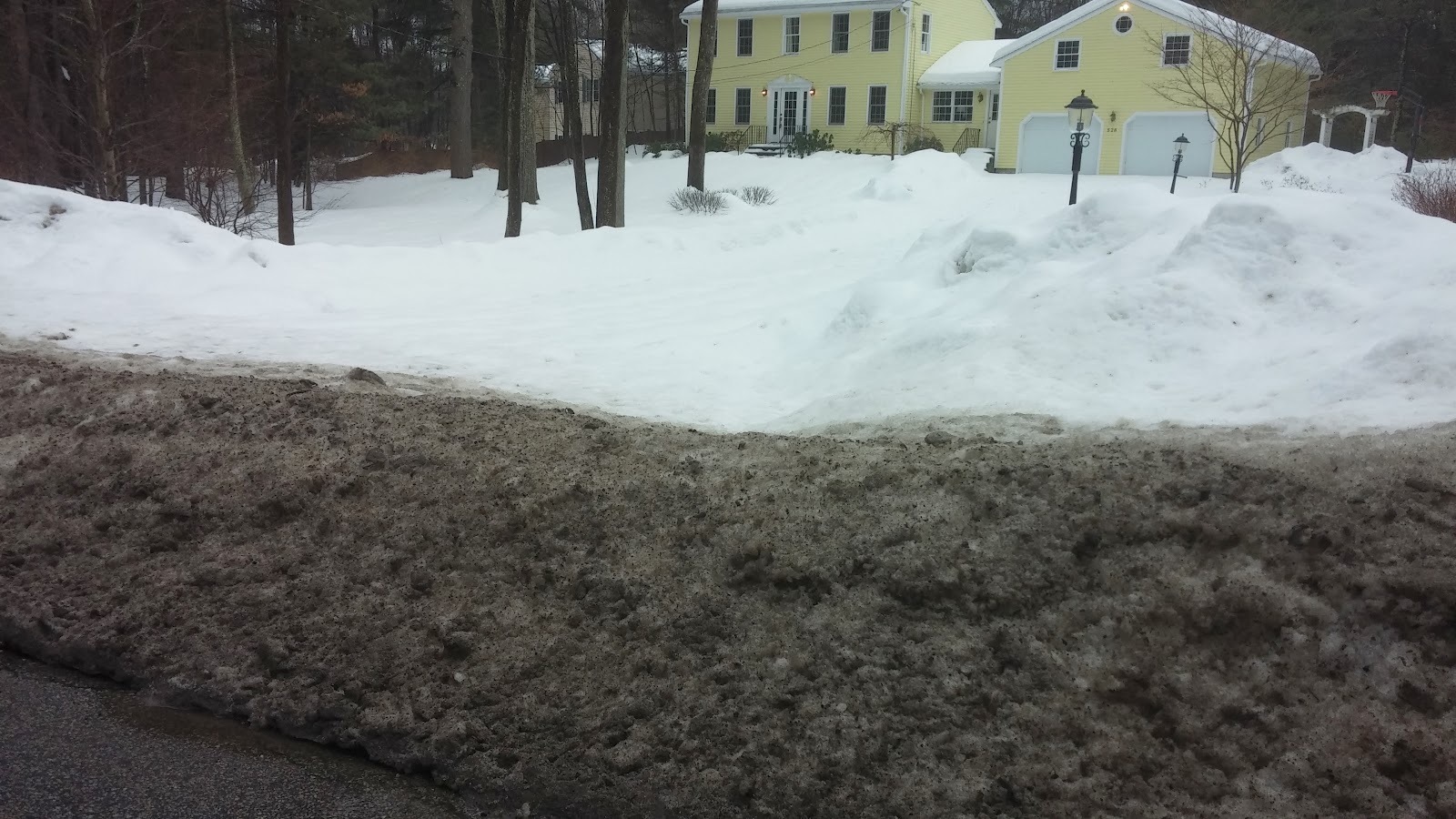Infiniti Properties Creative Landscape Design: 3 Feet Deep Of Unplowed ...