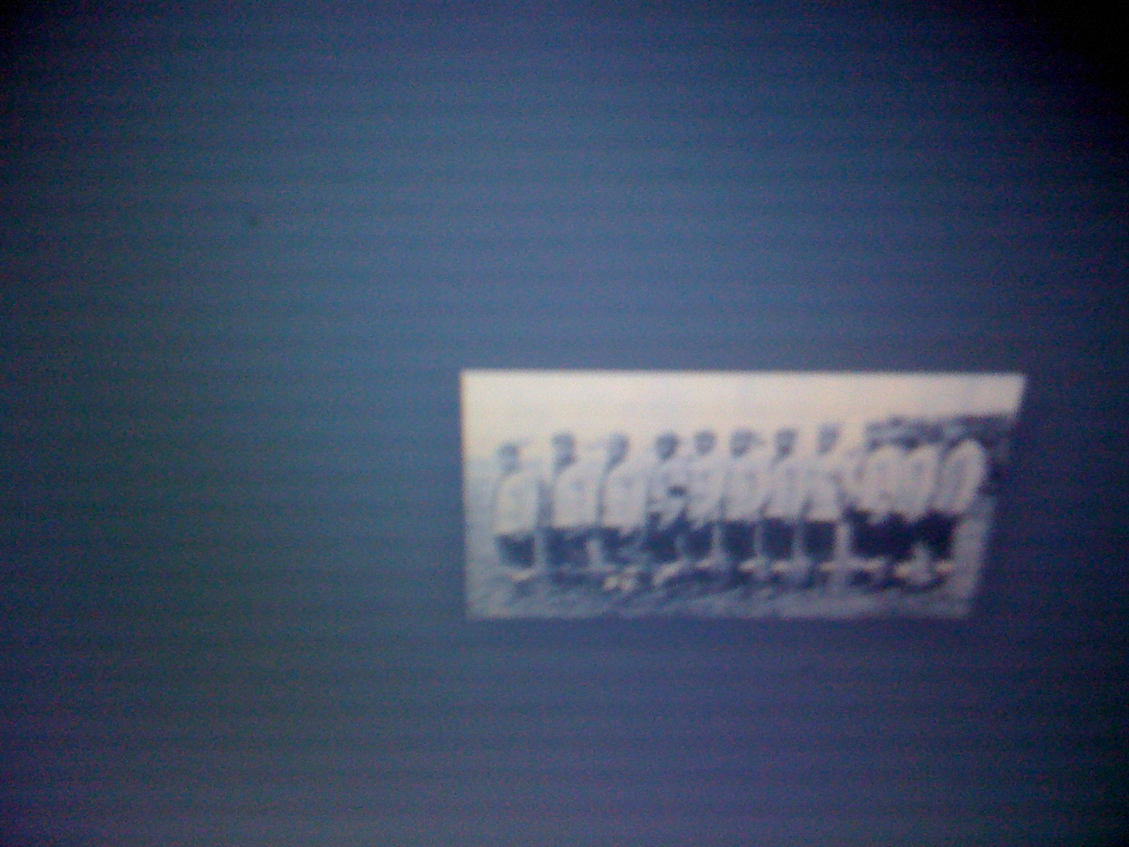 THE BLACK SOCIAL HISTORY:: BLACK SOCIAL HISTORY : AFRICAN AMERICAN ...