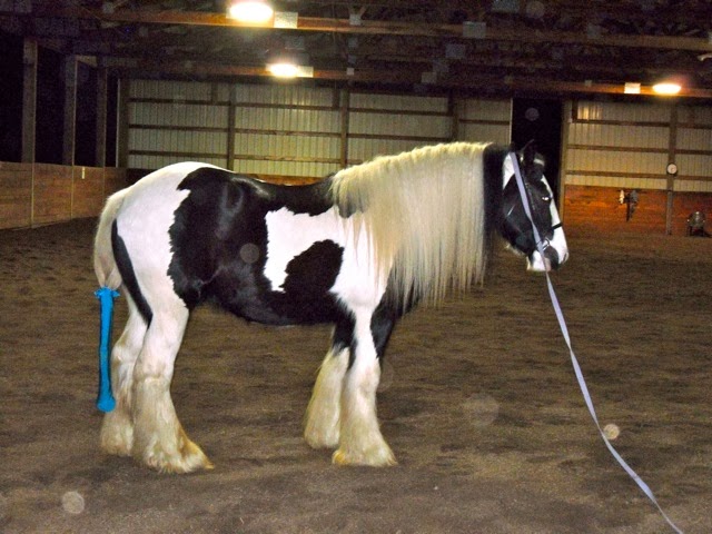 A Dream Come True: From Fat Pony to.... Fat Pony :)