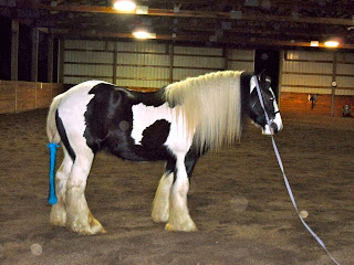 A Dream Come True: From Fat Pony to.... Fat Pony :)