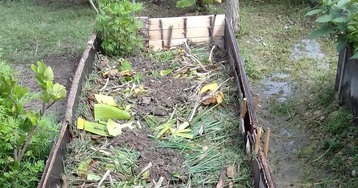 Jom Tanam Sayur ( JTS ) : Batas Timbun Baru No.4 - 3Jom Tanam Sayur ...