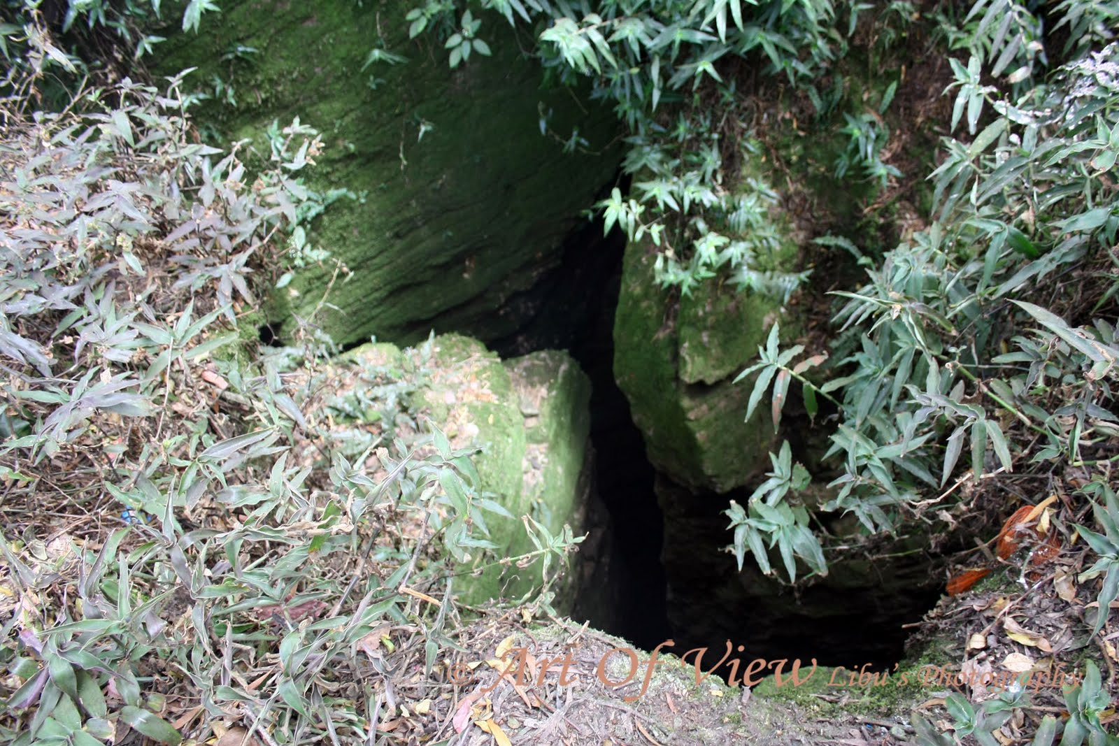 Guna Cave - Devils Kitchen (Kodai) | Art Of View