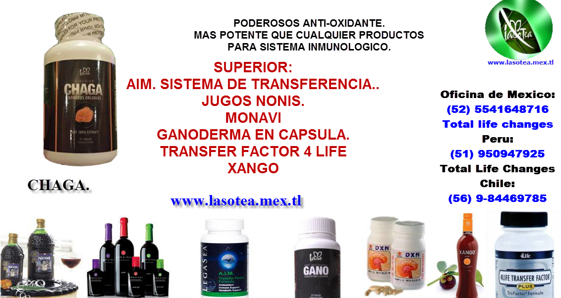CAPSULA DE CHAGA DE TOTAL LIFE CHANGES: PROPIEDADES DEL HONGO CHAGA EN ...