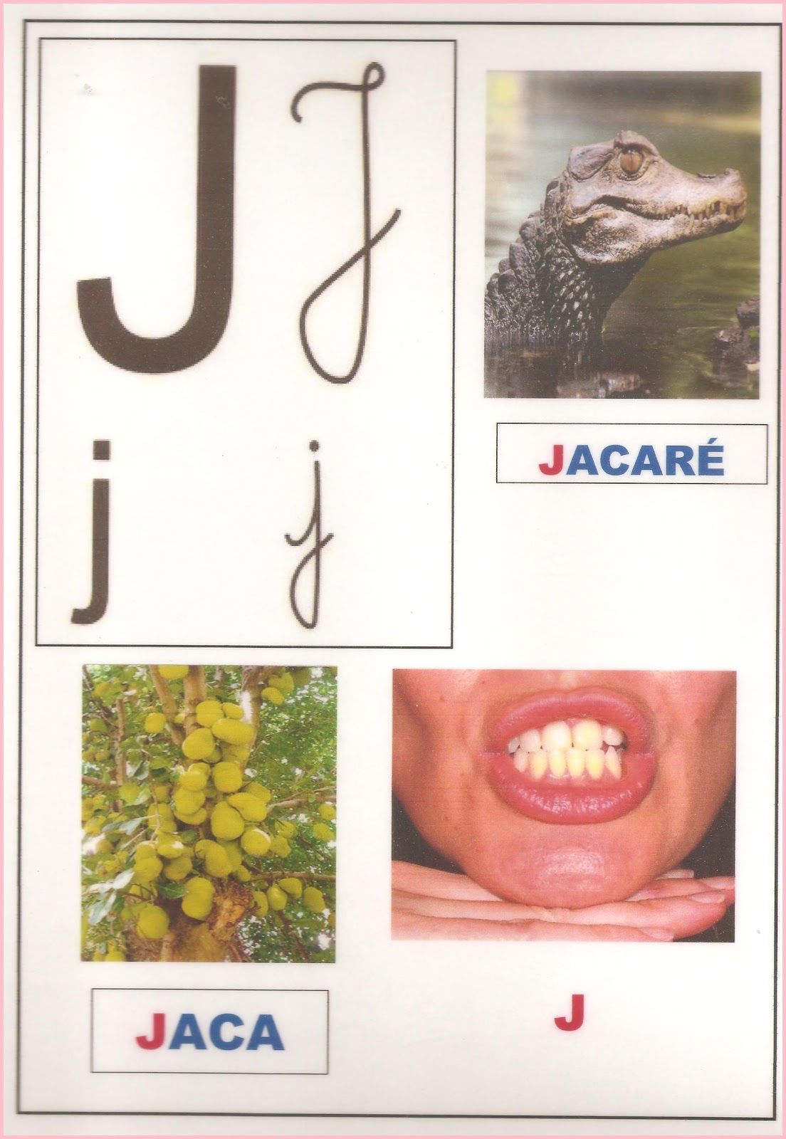 Alfabeto de Parede Método Fônico.