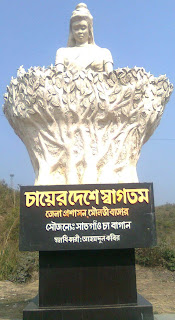 Beauty of Bangladesh: Sreemangal.................