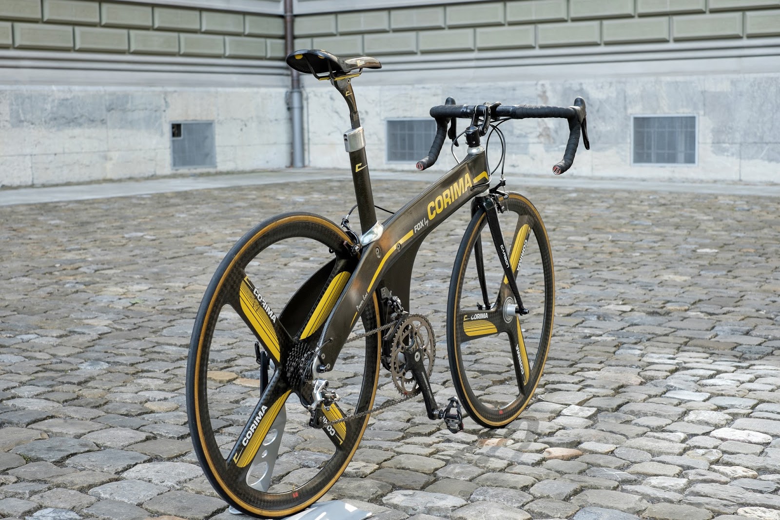 Zuwachs im Zoo: Corima Fox