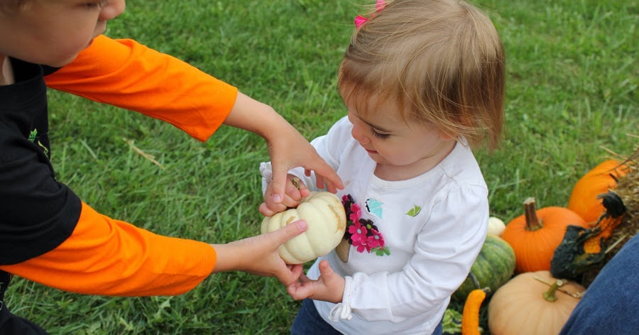 All Four Love: Pumpkin Picking is....Scary?