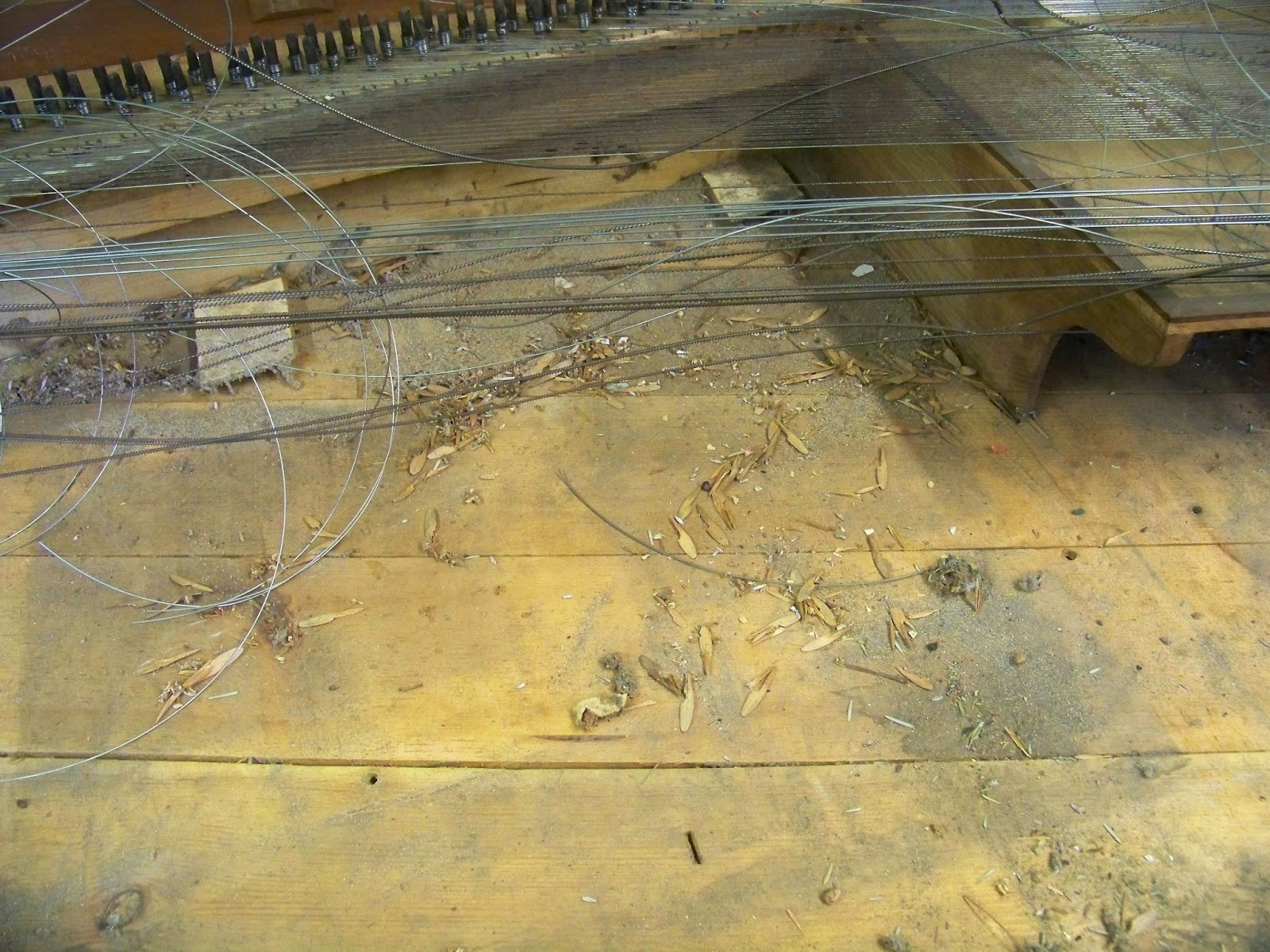 Antiquarian Keyboard Instruments: T. Tomkison square piano