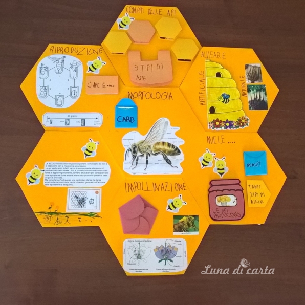 lapbook api | Lapbook ideas, Lap book, Proyectos de ciencia para niños