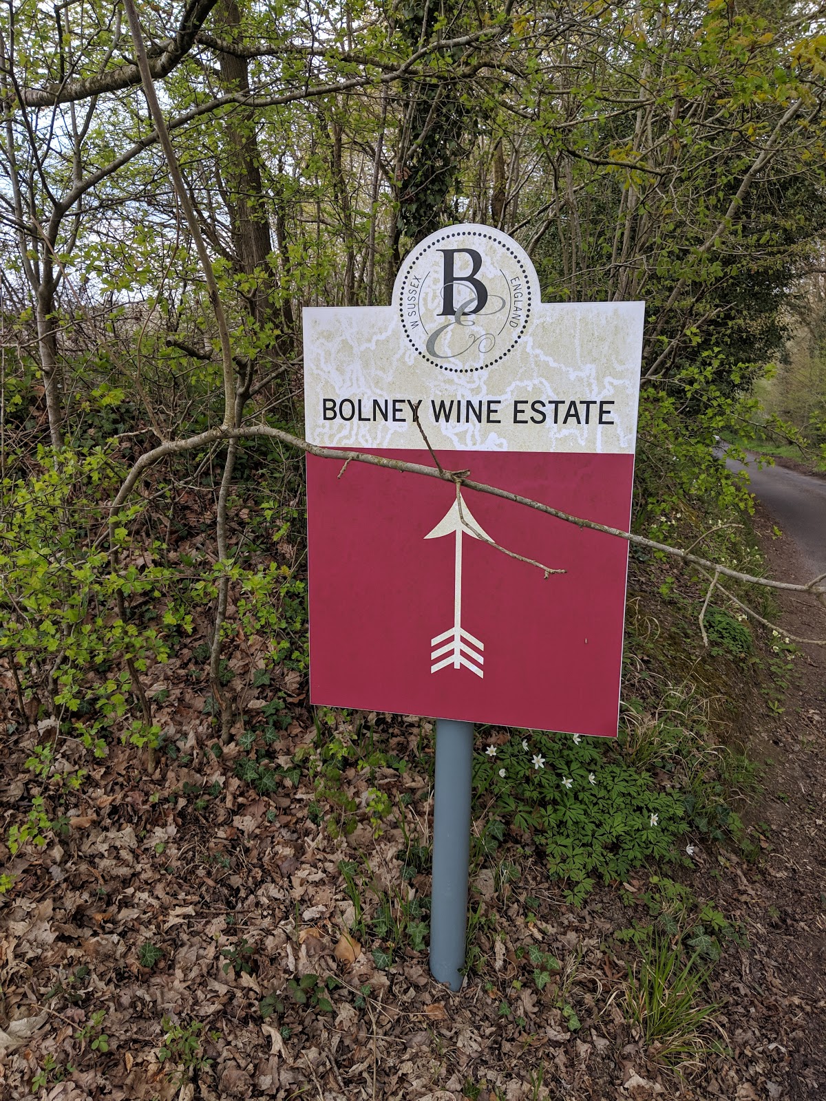 Bolney Estate Vineyard Visit