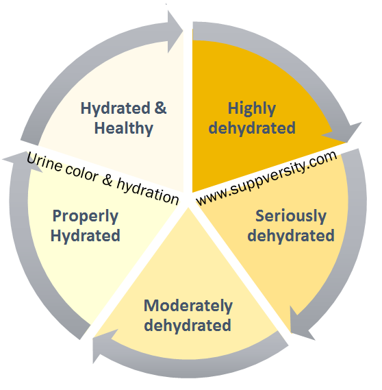 Hydrated or Dumb: Dehydration Affects Brain, Muscle and Other Vital ...