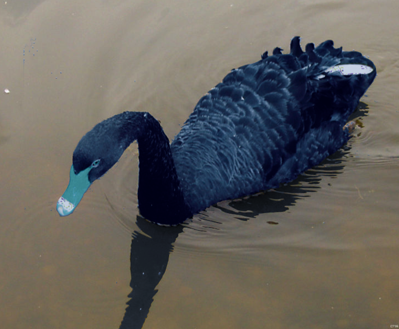 Exploring Possibility Space: Out-of-the-Blue Swans: Megatsunami ...
