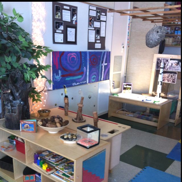 Exceptional Children - Exceptional Ideas!: Calm and Soothing Classroom