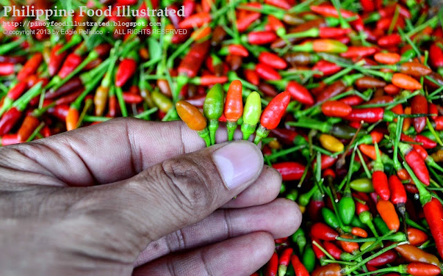 Philippine Food Illustrated: siling labuyo