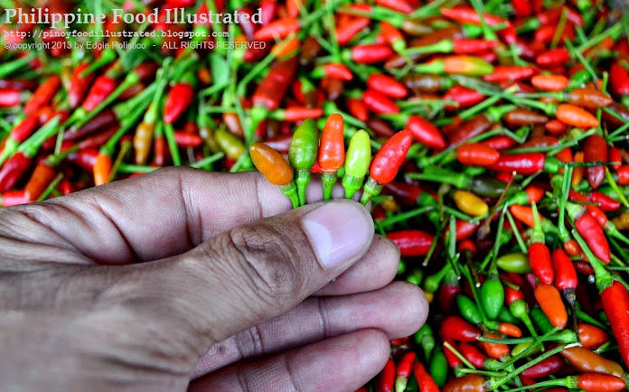 Philippine Food Illustrated: siling labuyo