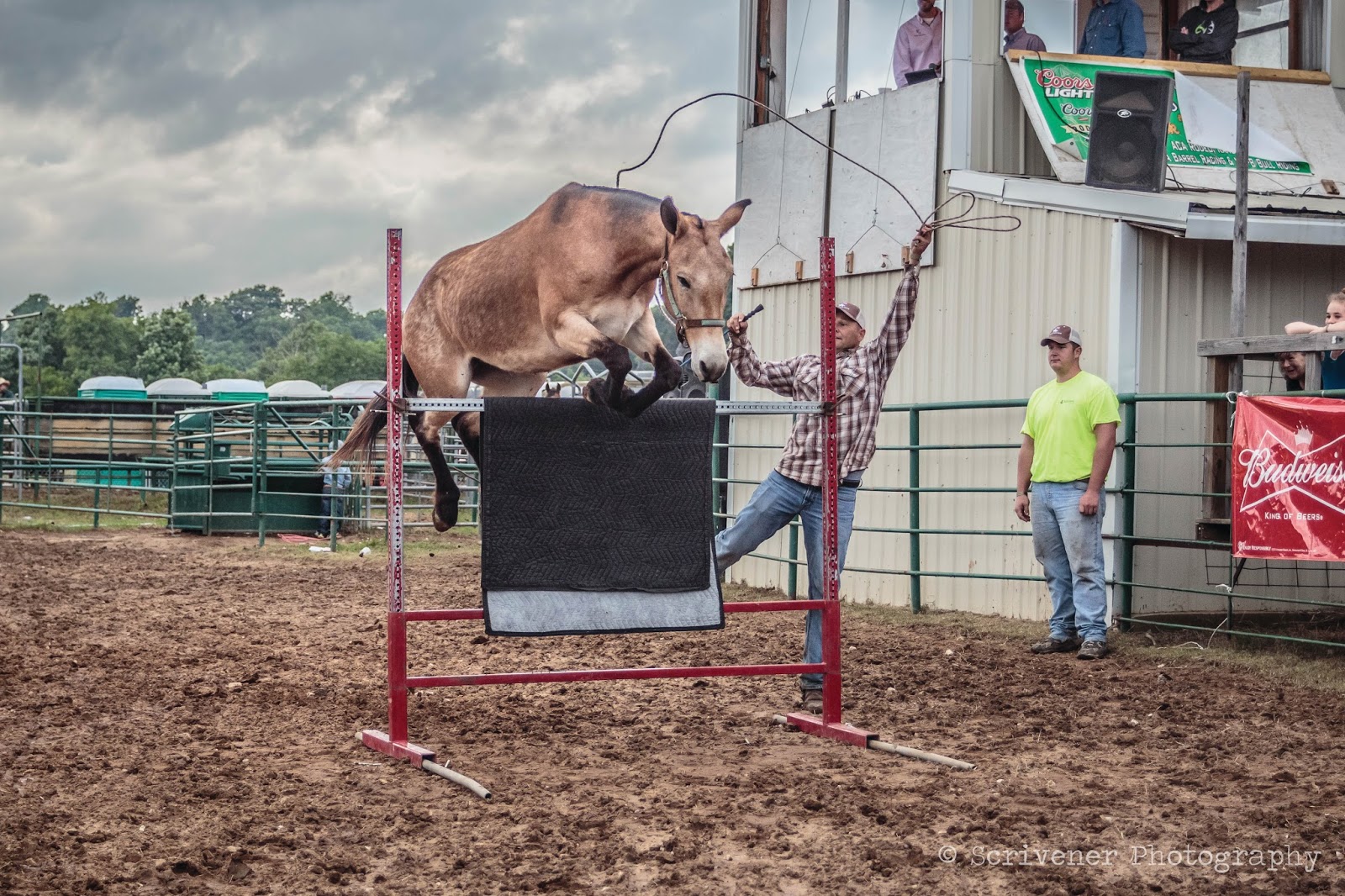 Mules and More Magazine: 10th Annual Rock Bottom Chuck Wagon Races