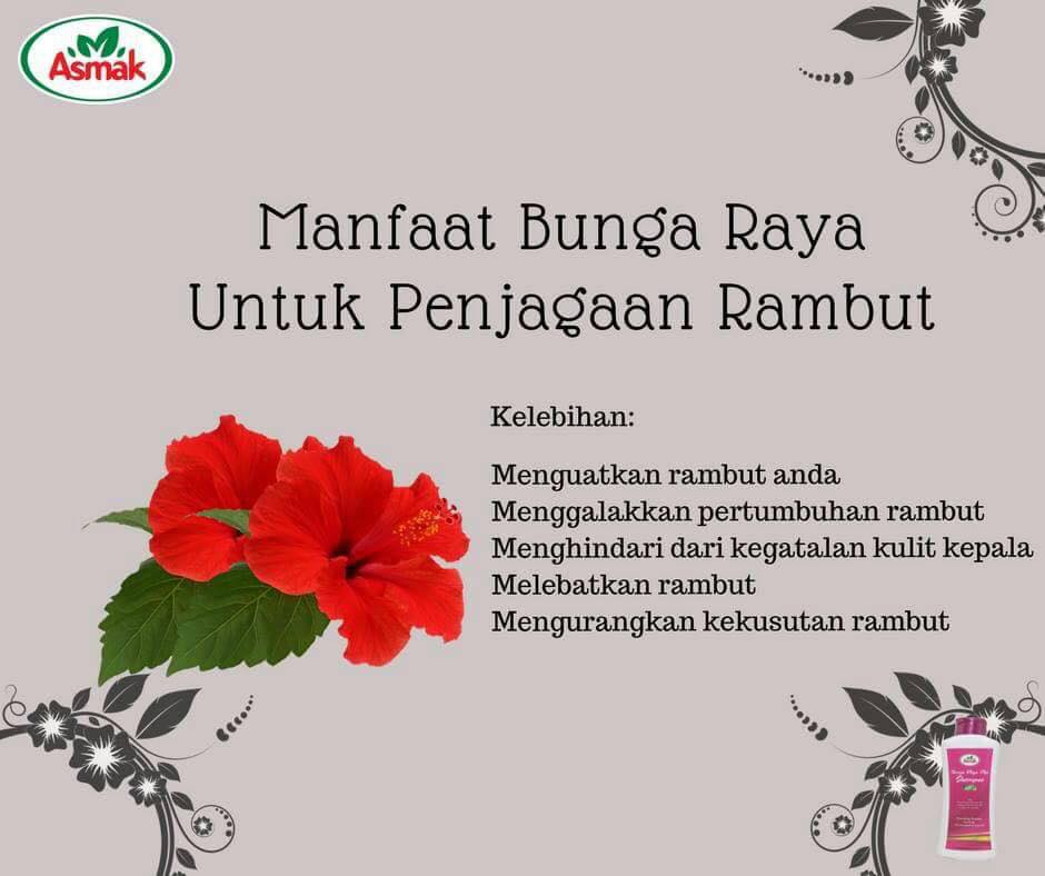 Minyak Herba Asmak (MHAM) Putrajaya