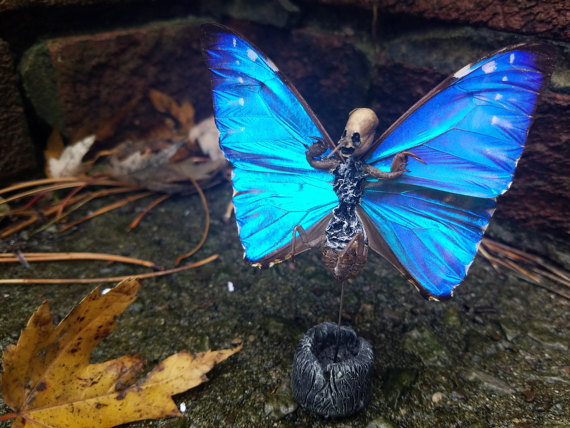 Shivers of Delight: Dead Fairies from Petite Grotesque