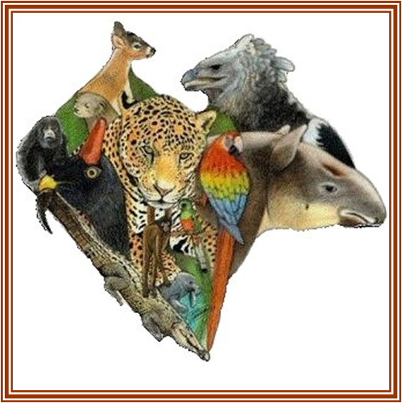 El ambiente natural en Chiapas esextremadamente diverso debido a tres ...