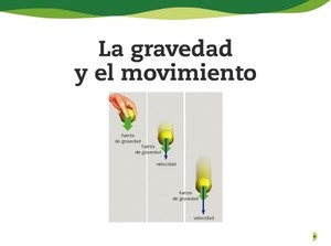 EL BLOG DE TERCER CICLO: LA FUERZA DE LA GRAVEDAD Y EL MOVIMIENTO