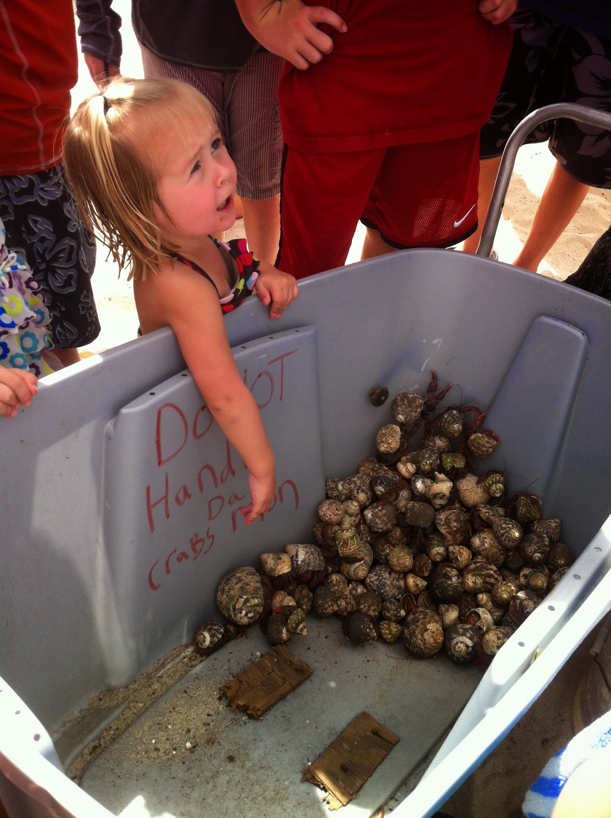 Pink has taken over!