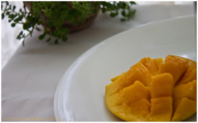 Condiment Series | Honey Mango Dip | Dip