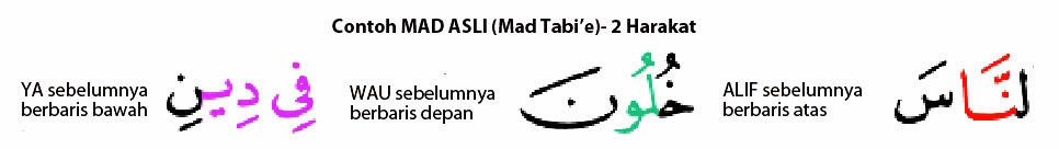 kartunhariini: HUKUM BELAJAR TAJWED DAN ASAS TAJWED