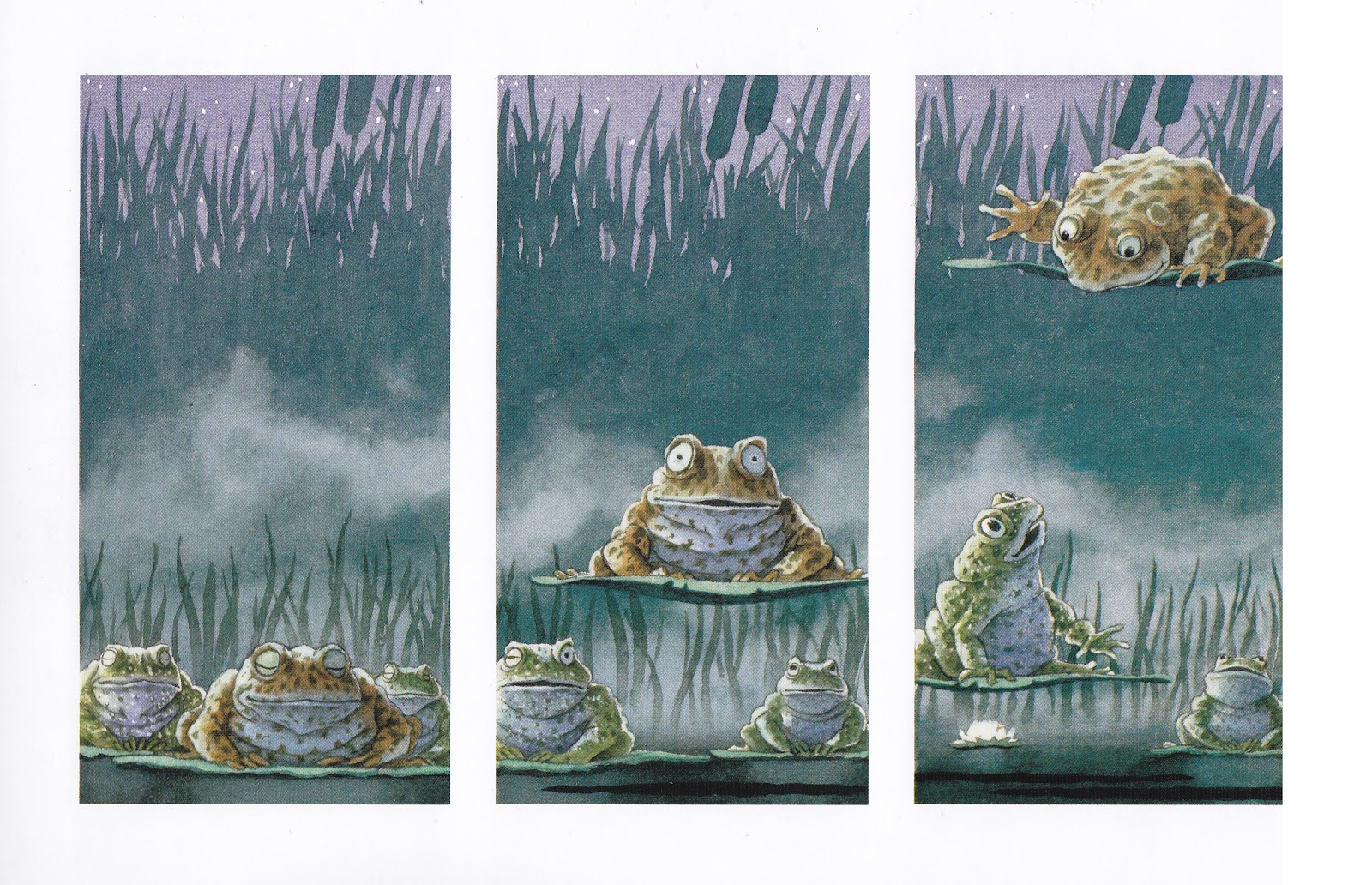 The Illustrated Book Image Collective: David Wiesner