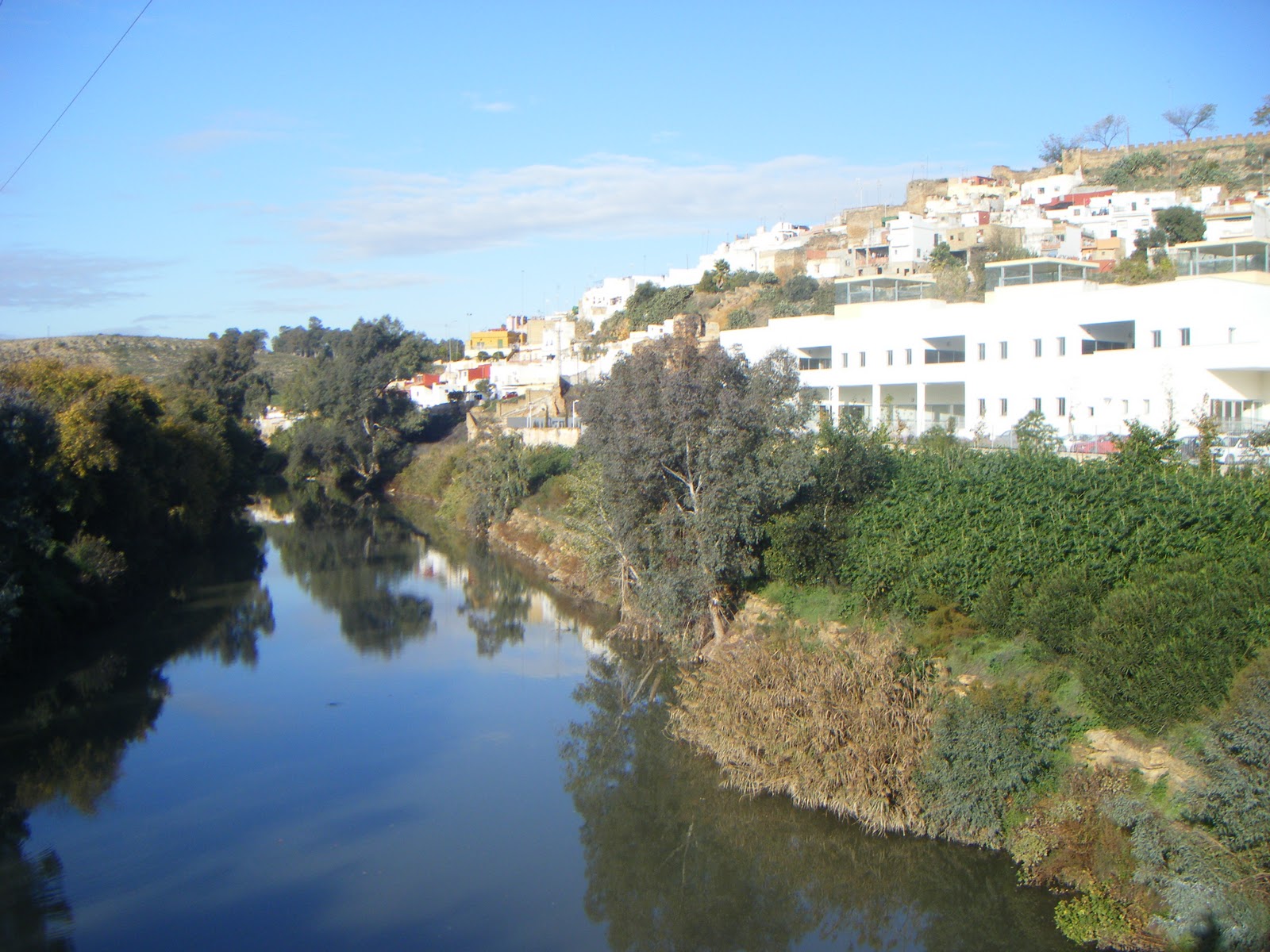 Viviendo ríos: El río, monumento natural (1): La ribera del Guadaíra