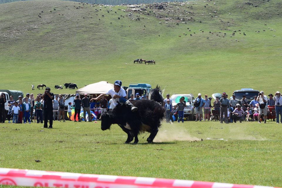 Old Bones and New Adventures: 5 Days of July - Day 2: Yak attack!