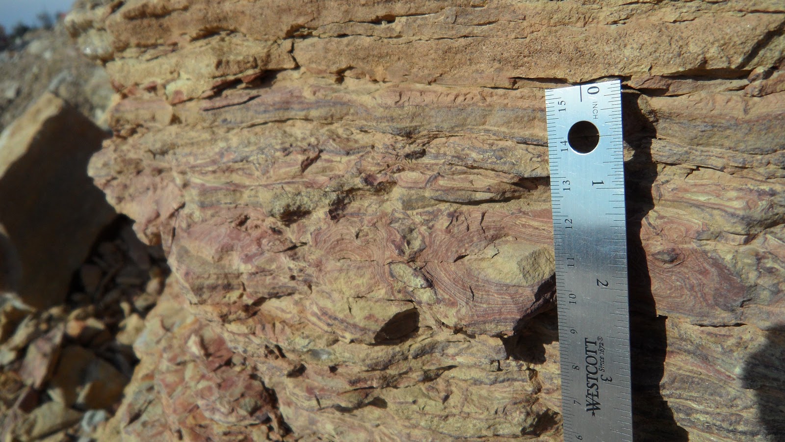 Fossils and Geology of Lanark County, Ontario: Mud cracks, Liesegang ...