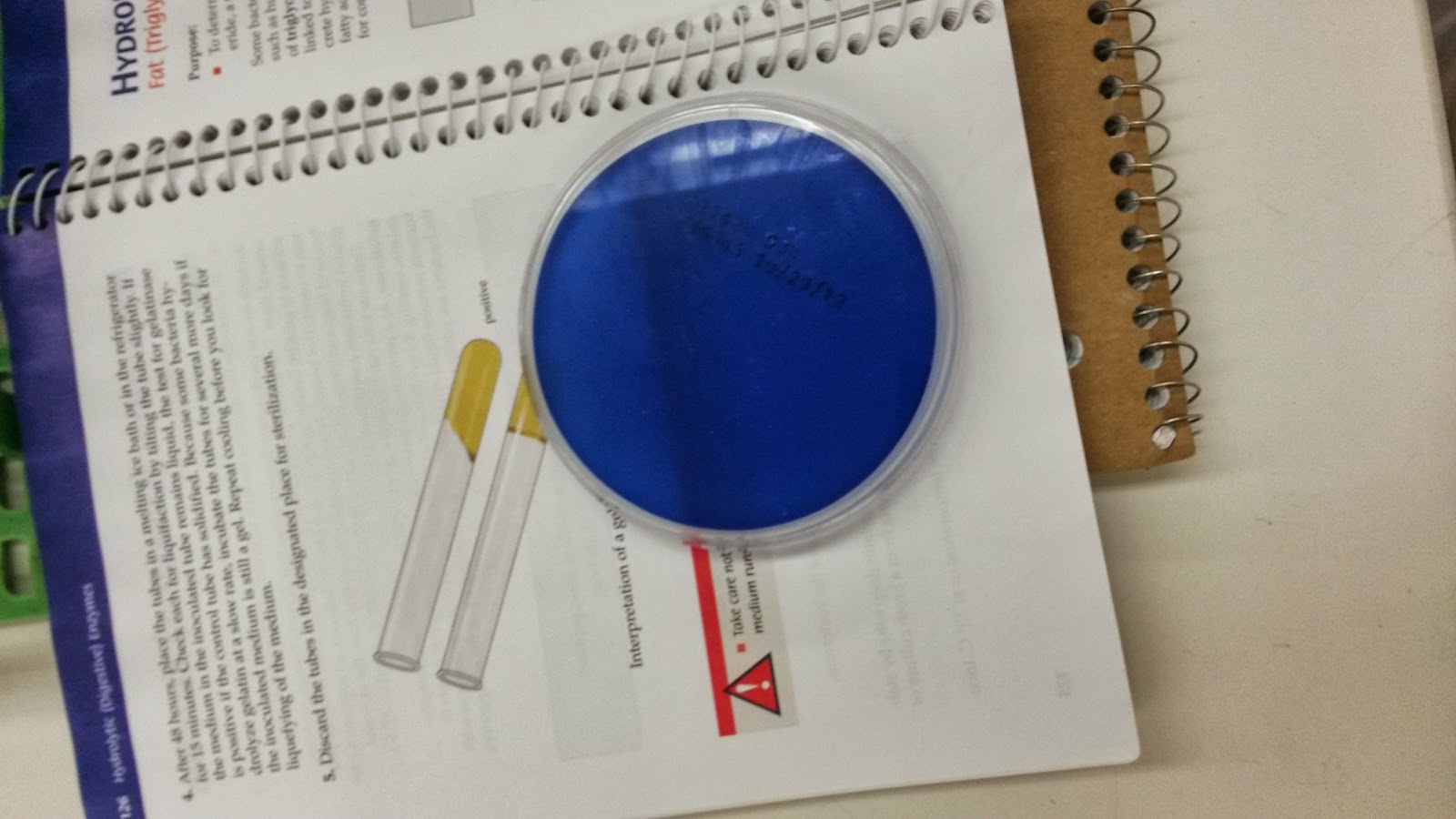 Medical Microbiology (BIO 217 Fall 2013)