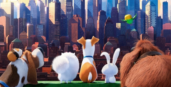 oh que perro!: La Vida Secreta de tus Mascotas. The Secret Life of Pets