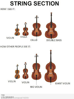 CEIP CARRIL MUSIC: Instruments