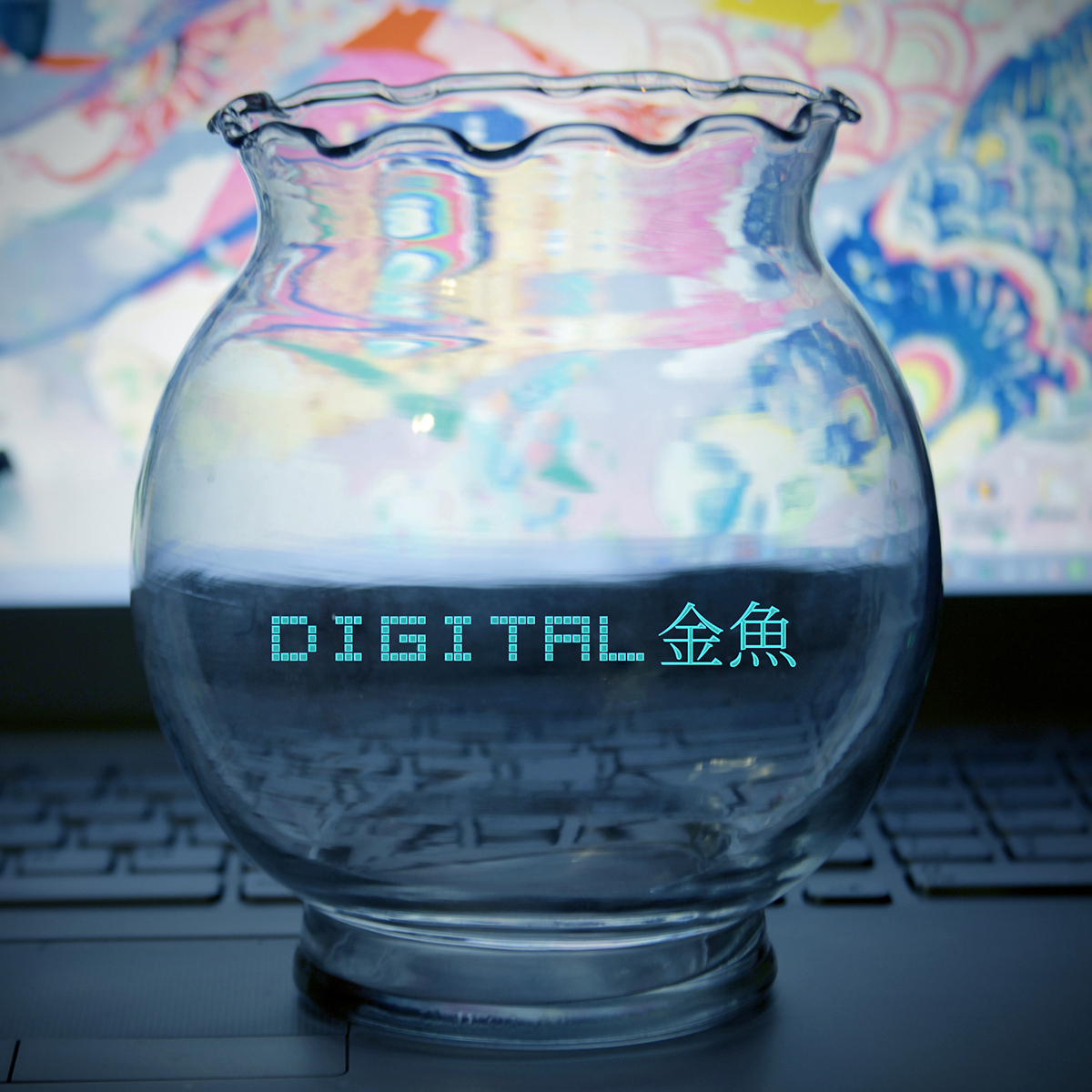 Digital Goldfish: Discography