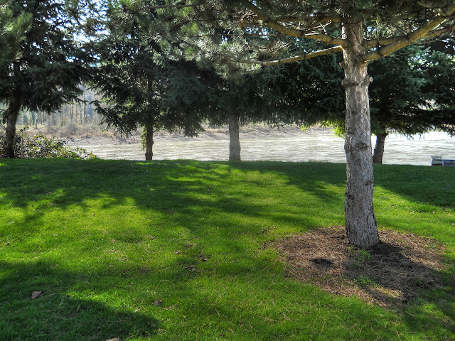 Thom Zehrfeld Photography : Meldrum Bar Park