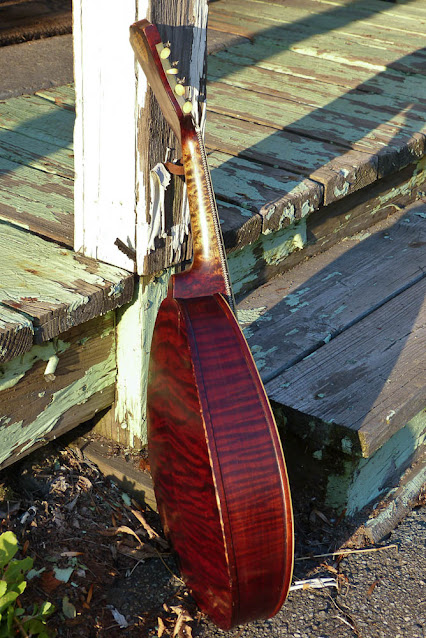 1910s Weymann Mandolute Mandola (Octave Mandolin Conversion)
