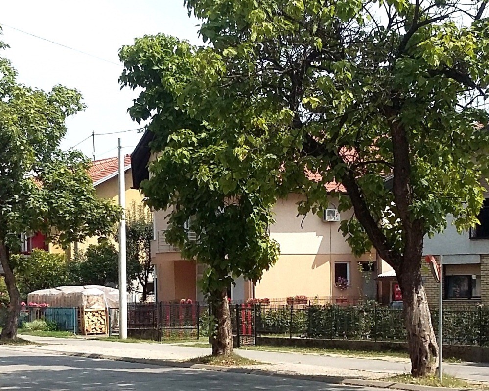 PARKIC: Mario M: Sličice iz Banjaluke