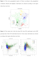 race/history/evolution notes: The fine-scale genetic structure of the ...